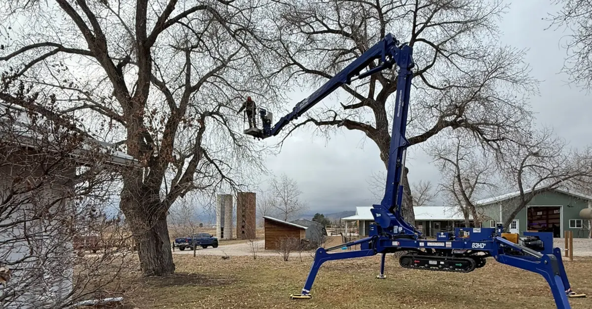 How Often Should You Trim Trees in Colorado’s Climate?